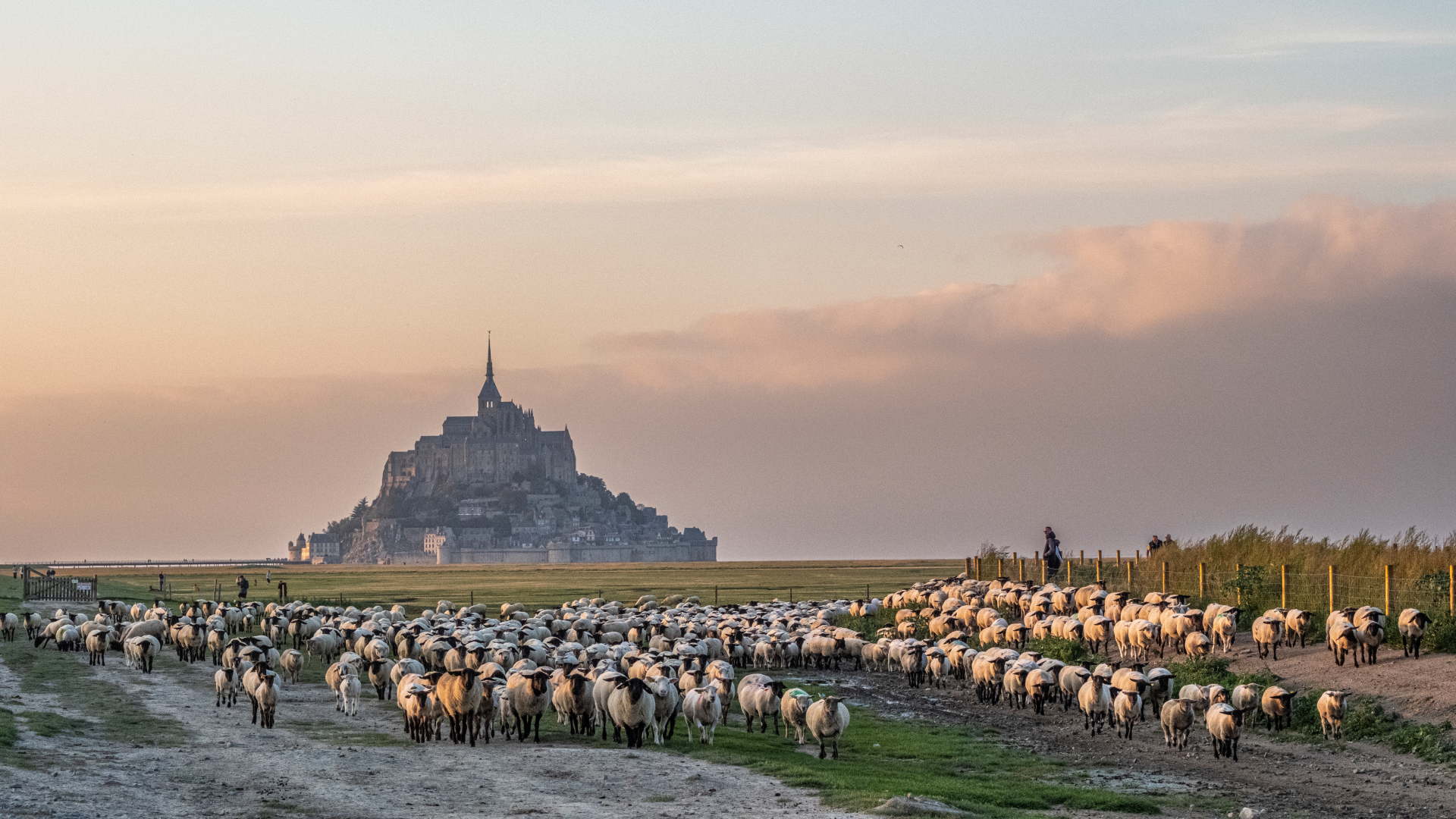 À la découverte du Mont-Saint-Michel - Visite guidée par Virginie Morel ...